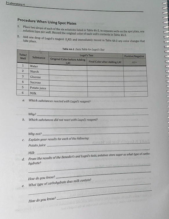 Solved Exercise 4A - Part 2: Lugol's Test for Starch | Chegg.com