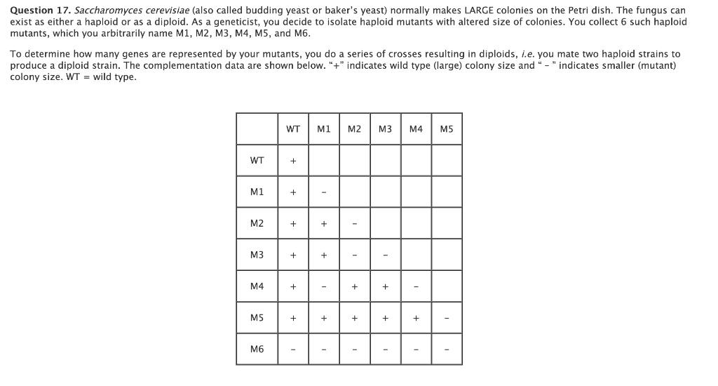 Solved What mutants are in the same complementation group as | Chegg.com