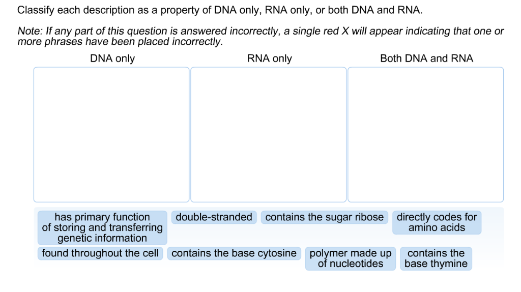 Solved Classify each description as a property of DNA only, | Chegg.com