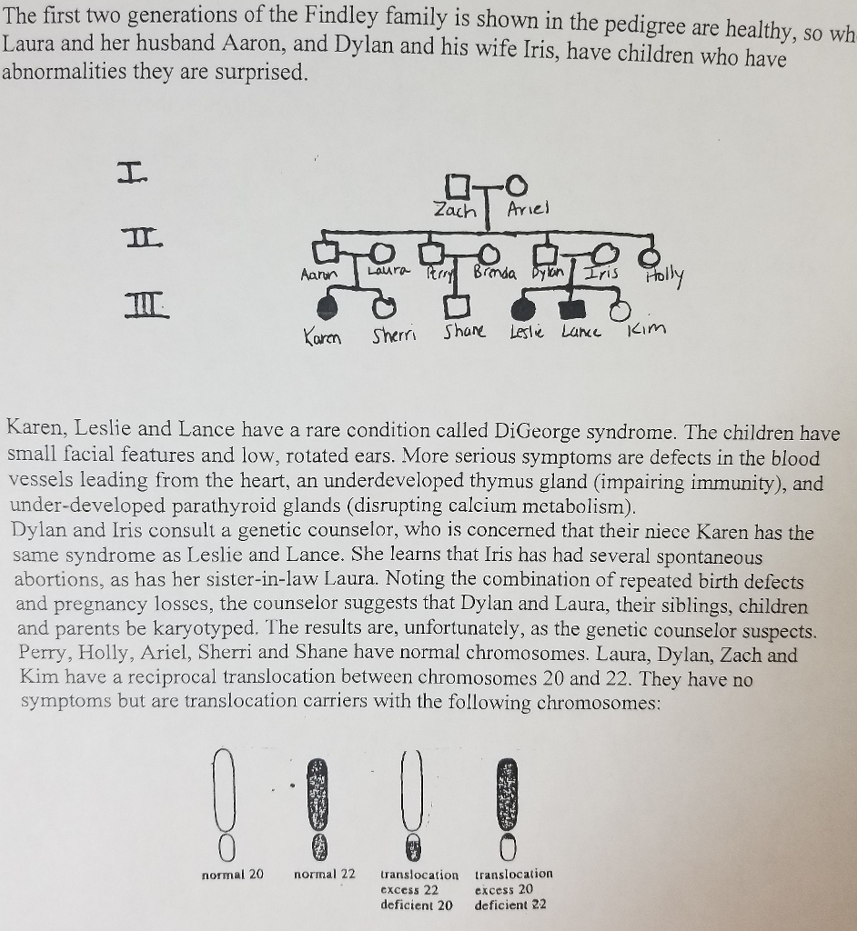 Solved The first two generations of the Findley family is | Chegg.com