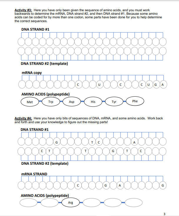 Solved Activity 1: Here you are given the sequence for DNA | Chegg.com