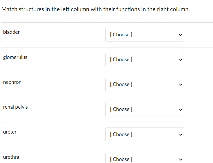 Solved Match structures in the left column with their | Chegg.com