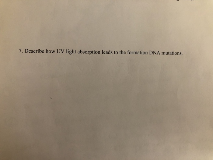 Solved Describe how UV light absorption leads to the | Chegg.com