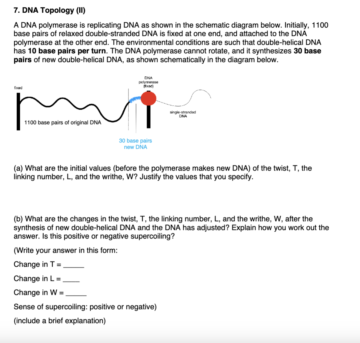 Solved DNA Topology (II)A DNA polymerase is replicating DNA | Chegg.com