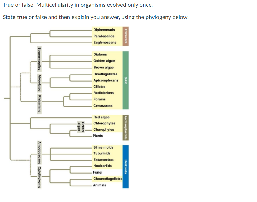 Solved True or false: Multicellularity in organisms evolved | Chegg.com