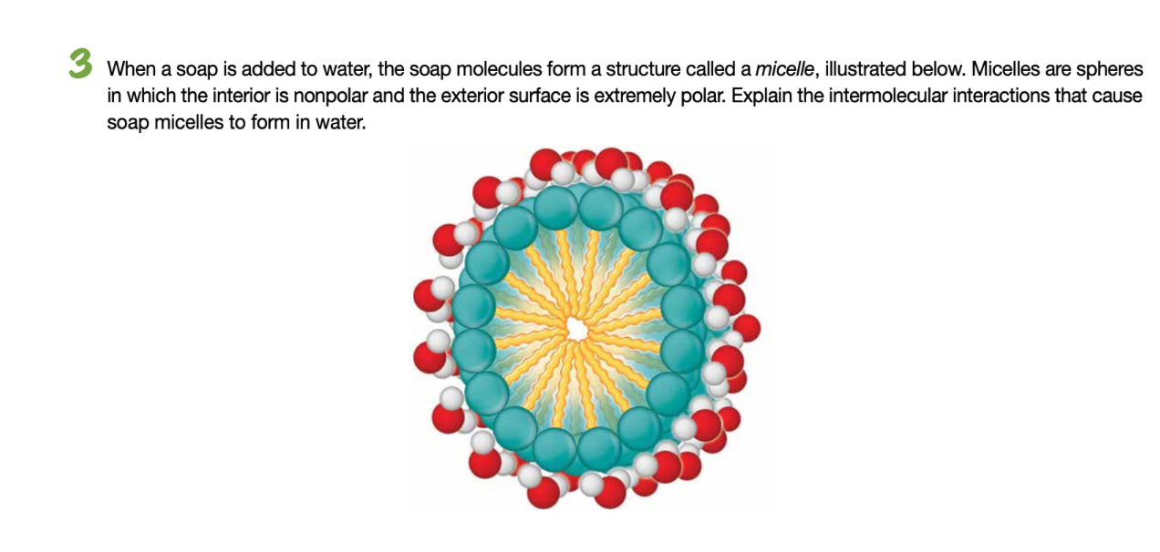 Solved 3 When a soap is added to water, the soap molecules | Chegg.com