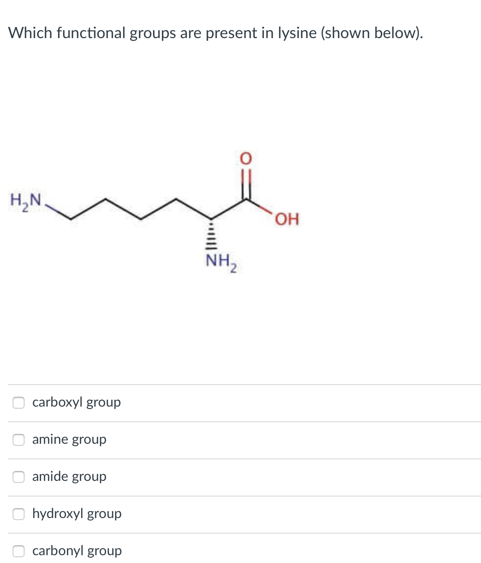Solved Which functional groups are present in lysine (shown | Chegg.com