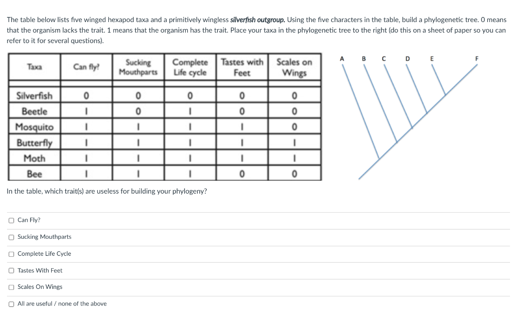 Solved Hello, can someone please help me with these two | Chegg.com