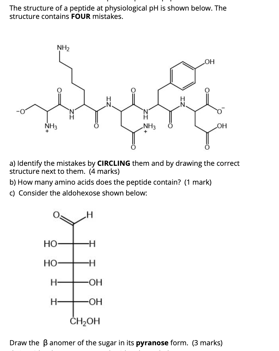 Solved The structure of a peptide at physiological pH is | Chegg.com