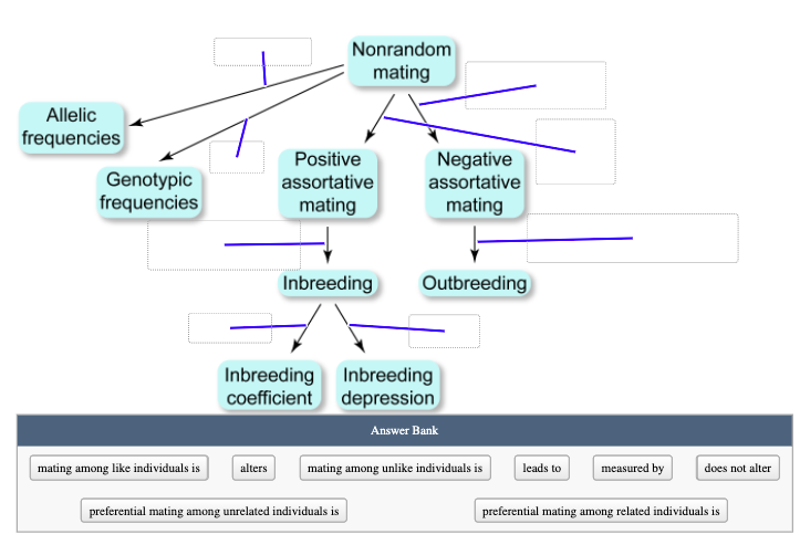 Solved Nonrandom mating Allelic frequencies Genotypic | Chegg.com