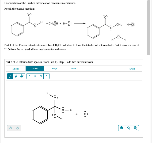 Solved Examination of the Fischer esterification mechanism | Chegg.com