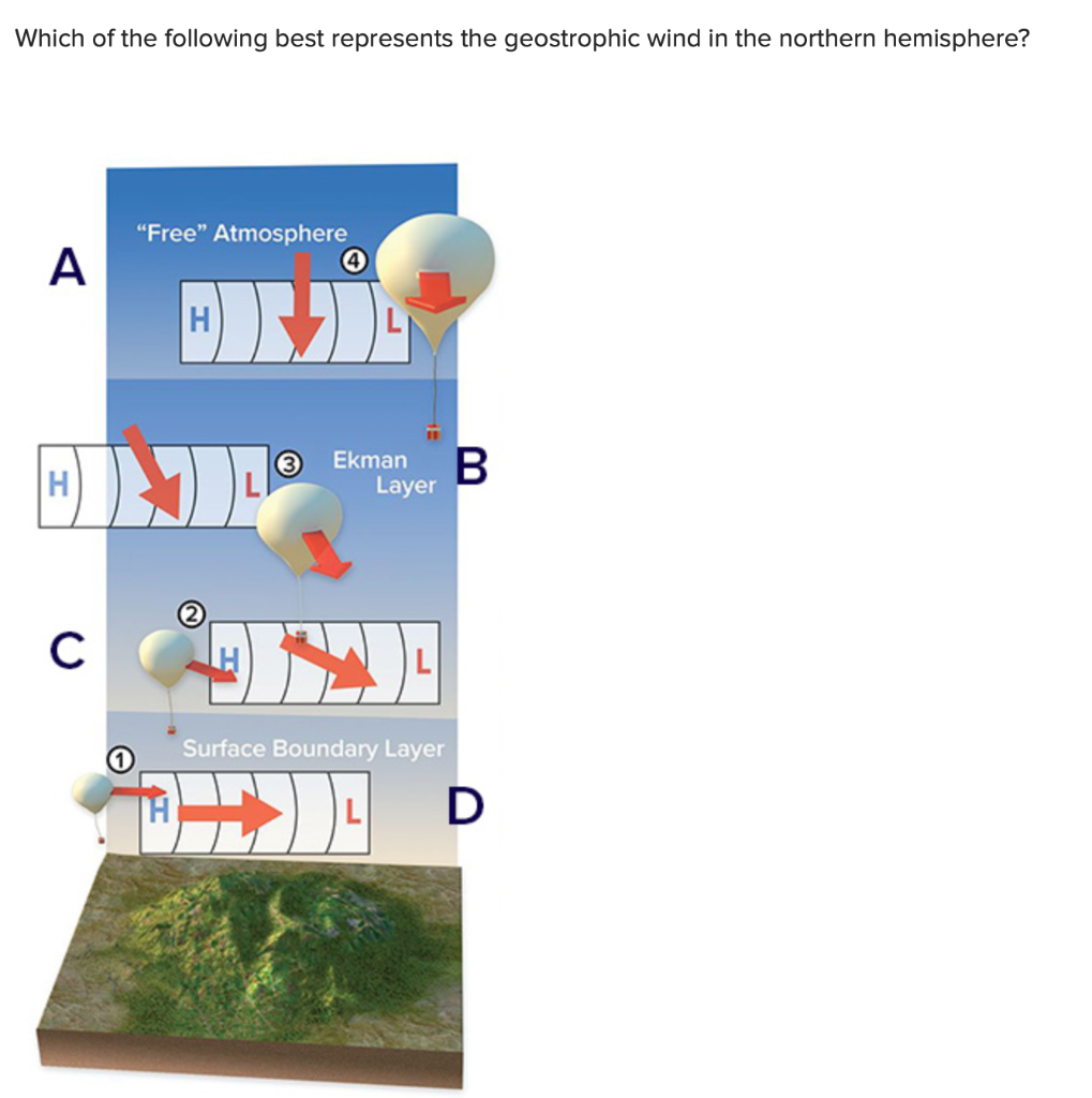Solved Which of the following best represents the | Chegg.com