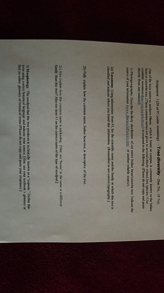 Solved Assignment 3 (20 of95 points remaining) - Tree | Chegg.com