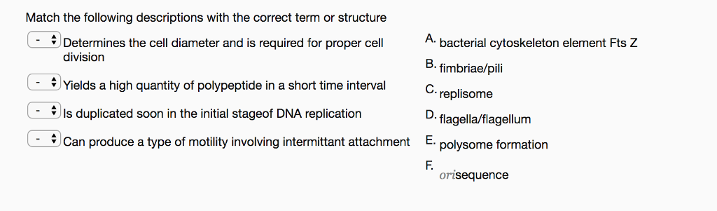Solved Match the following descriptions with the correct | Chegg.com