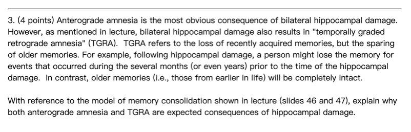 3. (4 points) Anterograde amnesia is the most obvious | Chegg.com