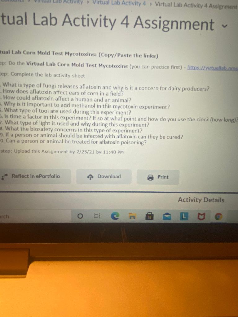Solved → Virtual Lab Activity 4 ) Virtual Lab Activity 4 | Chegg.com