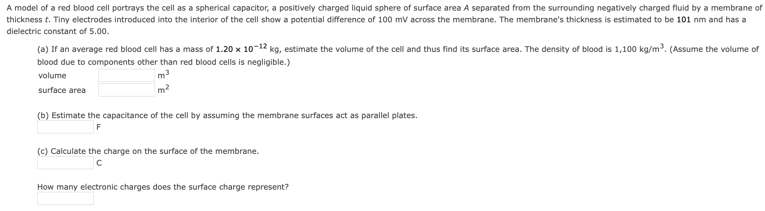 Solved A model of a red blood cell portrays the cell as a | Chegg.com