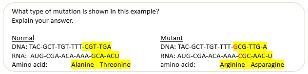 Solved What type of mutation is shown in this | Chegg.com