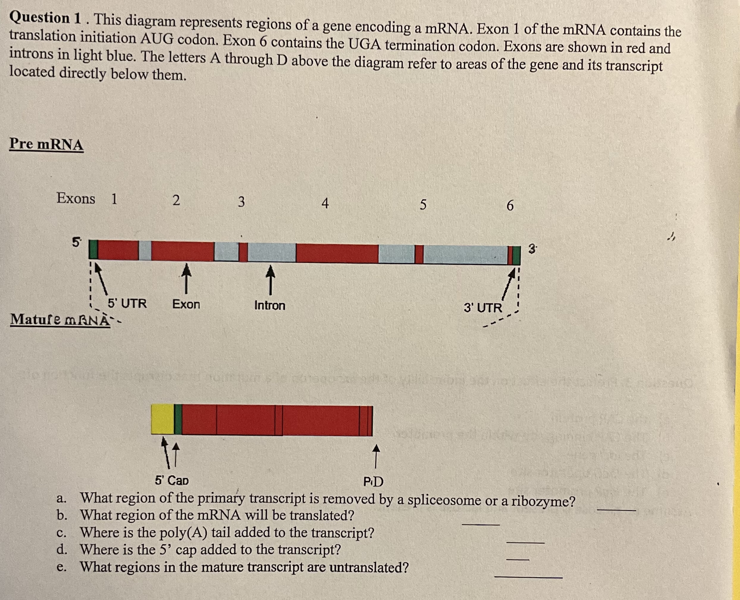 Solved Question 1. ﻿This diagram represents regions of a | Chegg.com