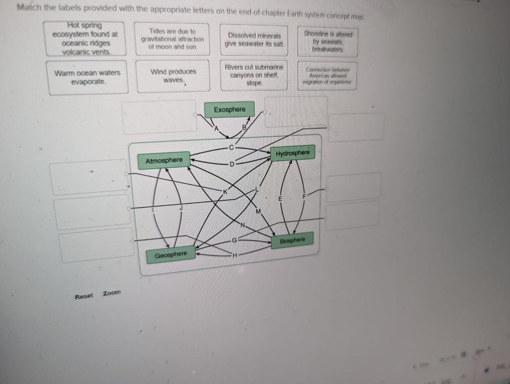 Solved Match the labels provided with the appropriate | Chegg.com