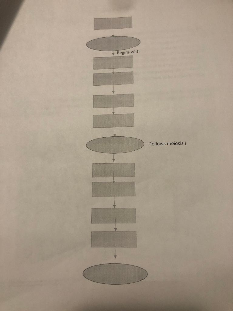 Solved Purpose: The purpose of this assignment is to create | Chegg.com