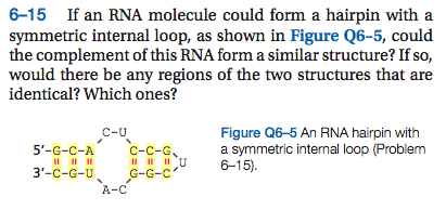 Solved 6-15 If an RNA molecule coul symmetric internal loop, | Chegg.com