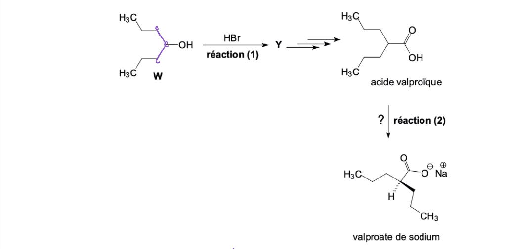 Solved Choose the correct answers A)Compound W is a | Chegg.com