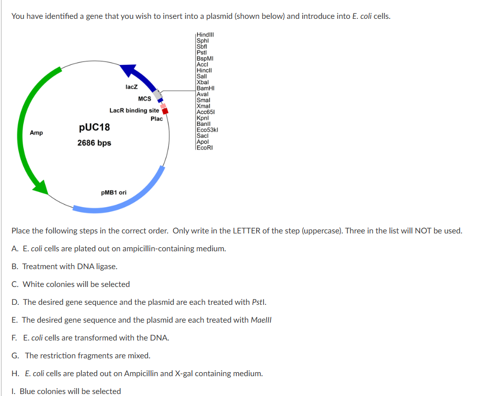 Solved by an EXPERT You have identified a gene that you wish to insert | Chegg.com