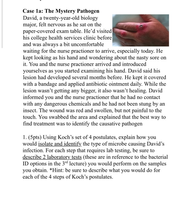 Case la: The Mystery Pathogen David, a | Chegg.com