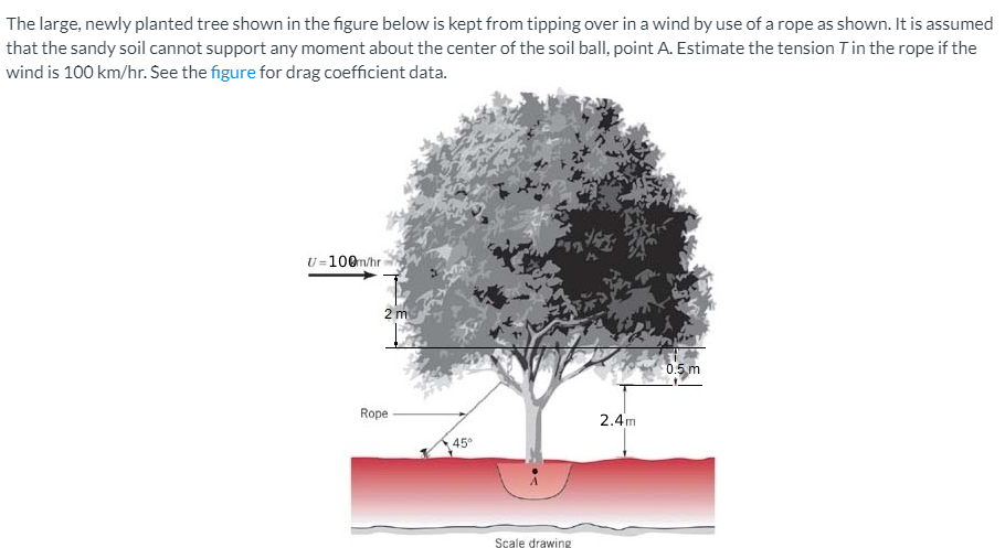 Solved The large, newly planted tree shown in the figure | Chegg.com