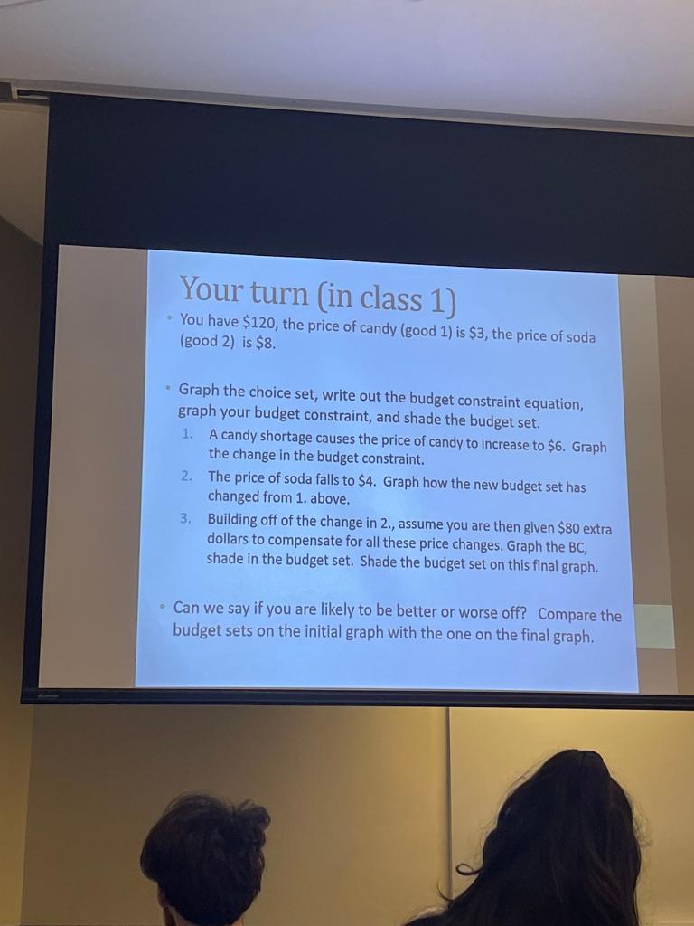 Solved Your turn (in class 1) You have $120, the price of | Chegg.com