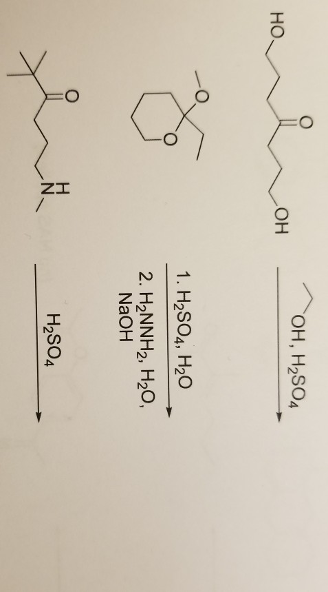 Solved cat. HCI heat OH HO 1. H2SO4, H2O 2. H2NNH2, H20, | Chegg.com