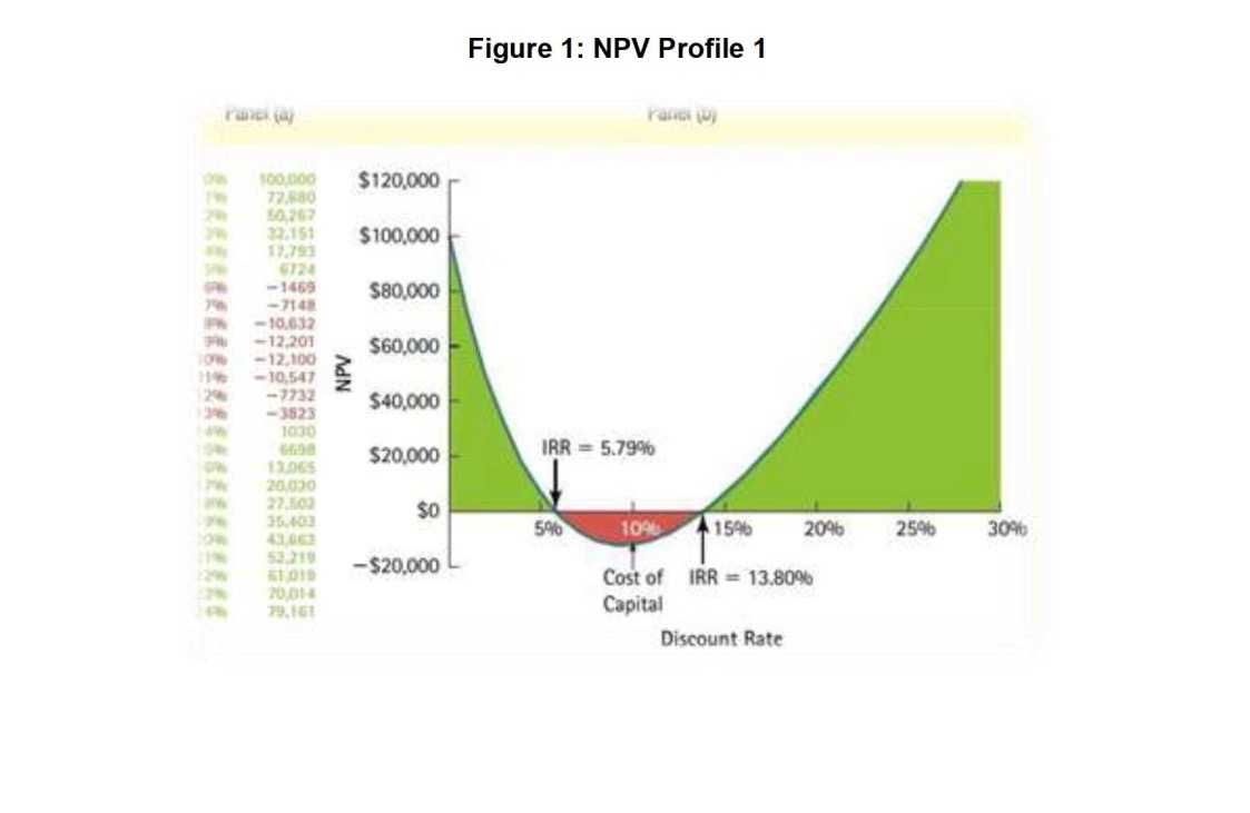 Net Present Value (NPV) is an indicator of how much | Chegg.com