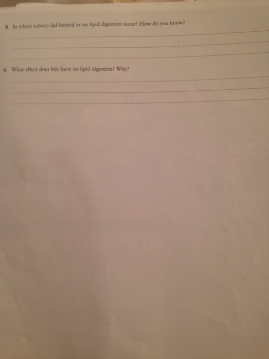 Solved Pre-Lab Exercise 233 Digestive Enzymes Brush border | Chegg.com