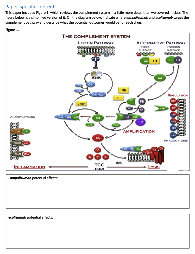 Solved Paper-specific content: This paper included Figure 1, | Chegg.com