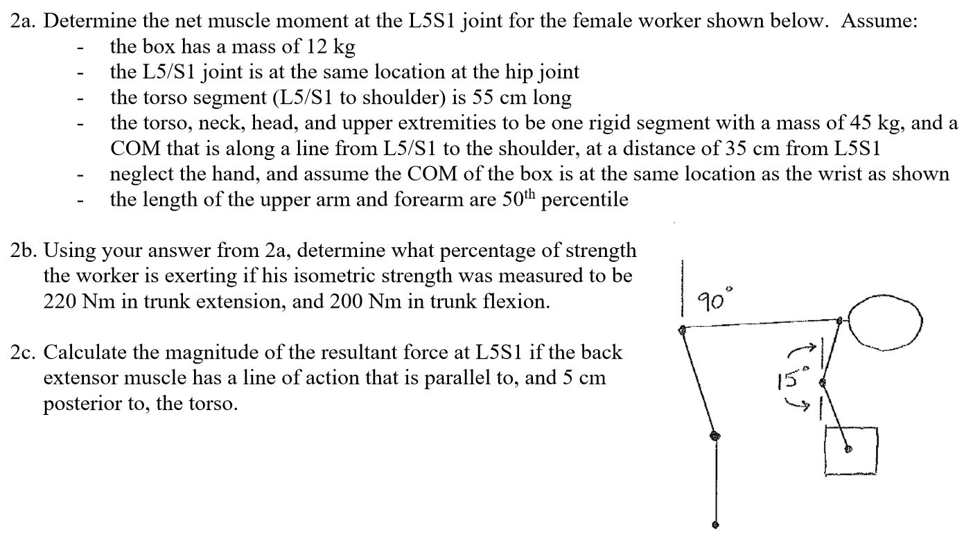 Solved For a 50th percentile female the | Chegg.com