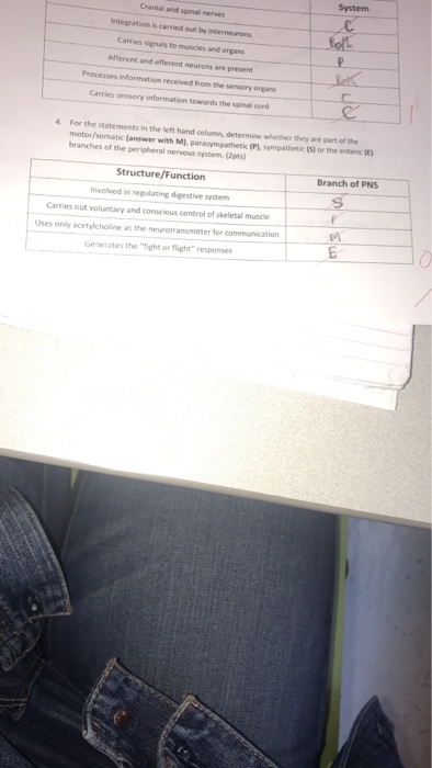 Solved For the statements in the left hand column, determine | Chegg.com