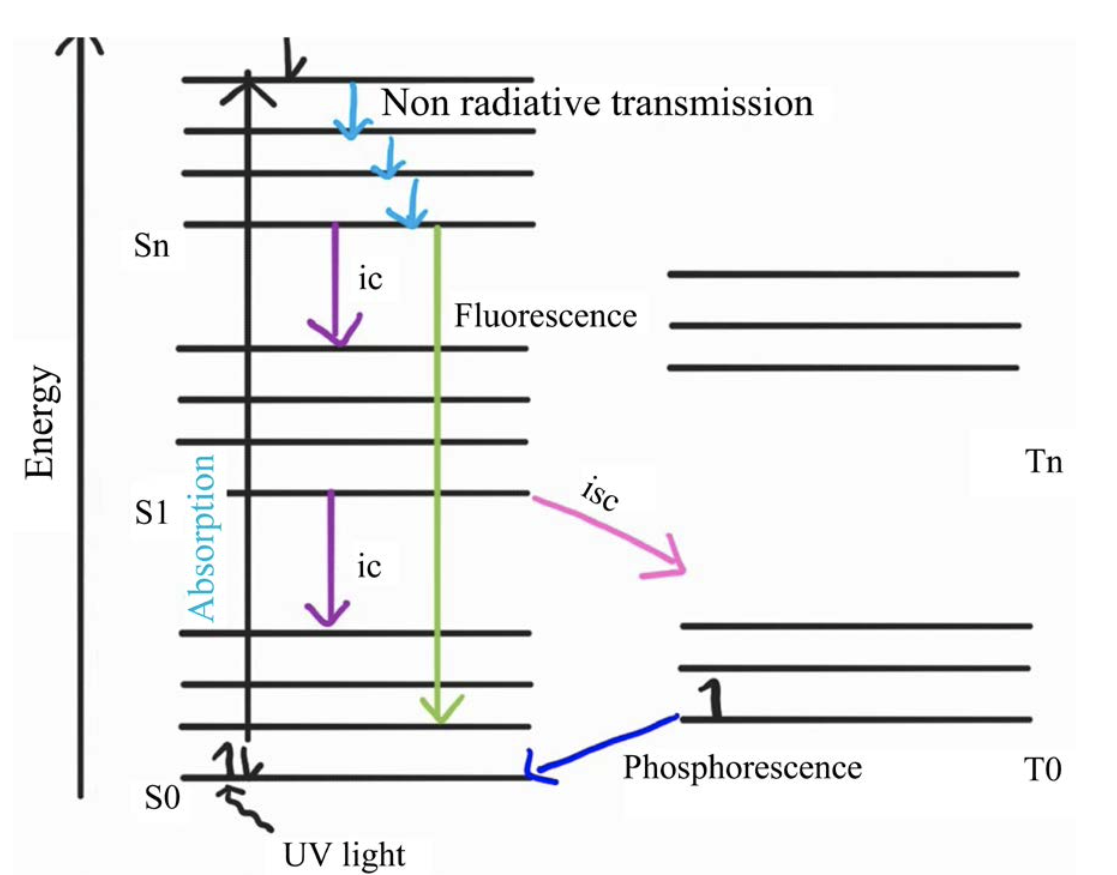 Solved Explain this Jablonski Diagram | Chegg.com