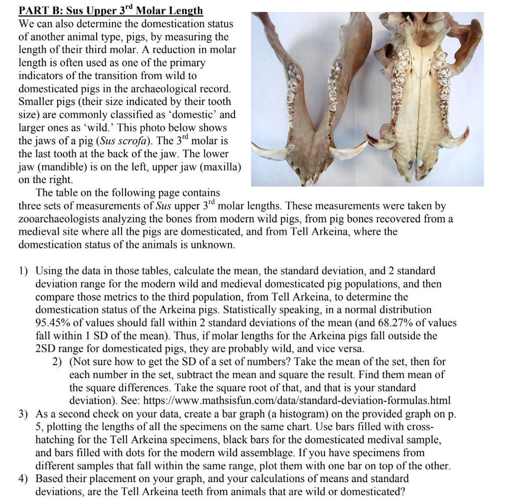 PART A: Goat horn core morphology Horn cores are | Chegg.com