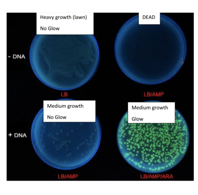 Solved Can any one help me with questions 5 to 9. 5. On | Chegg.com