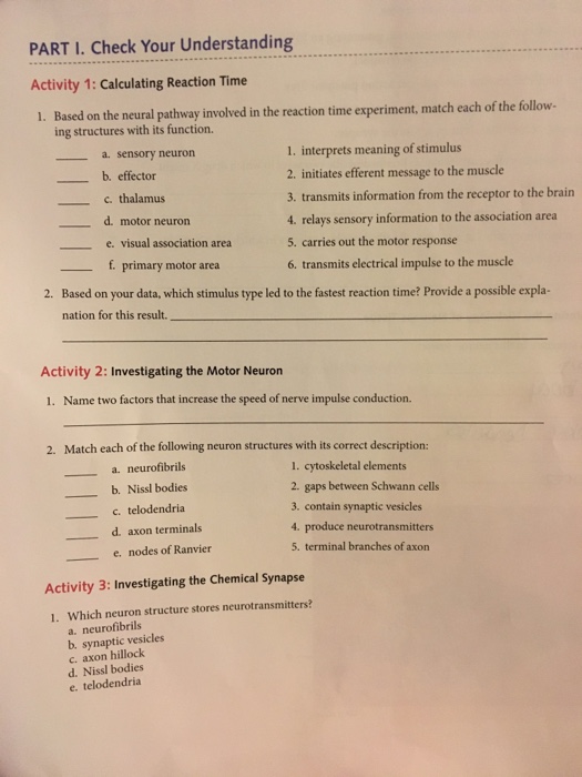 Solved Based on the neural pathway involved in the reaction | Chegg.com