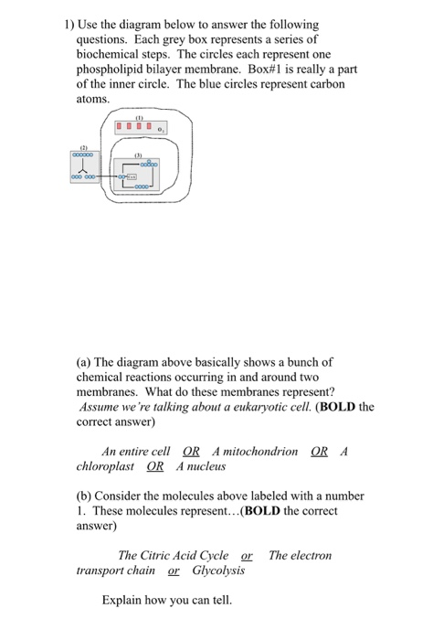 Solved 1) Use the diagram below to answer the following s a | Chegg.com