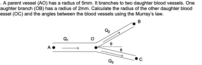Solved I specifically need the angles between the blood | Chegg.com