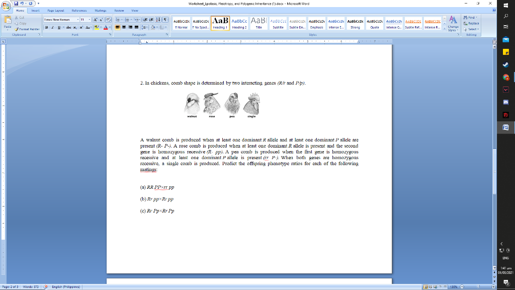 Solved Worksheet_Epistasis, Petropy, and Polygenic | Chegg.com