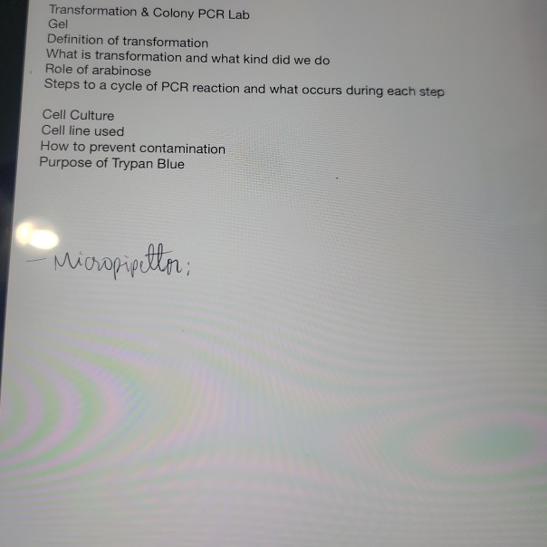 Solved Transformation & Colony PCR Lab Gel Definition of | Chegg.com