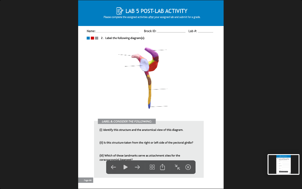 Solved LAB 5 POST-LAB ACTIVITY Please complete the assigned | Chegg.com
