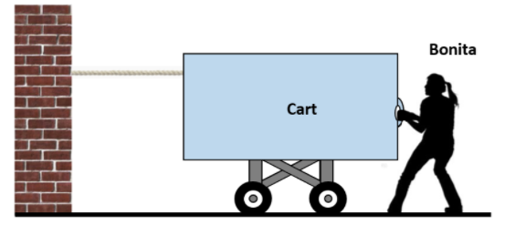 Solved Bonita is pulling a cart to the right. She does not | Chegg.com