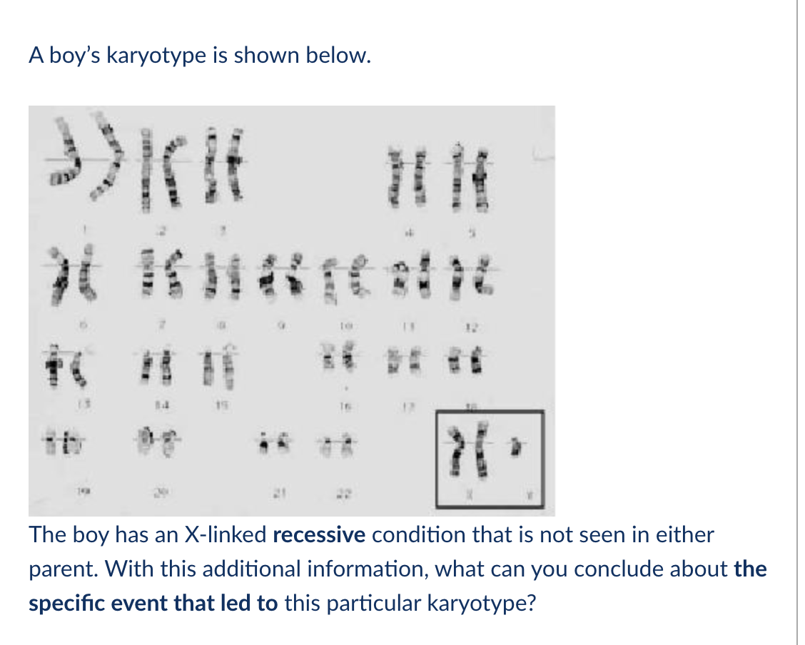 Solved A boy's karyotype is shown below. >> 1 The boy has an | Chegg.com