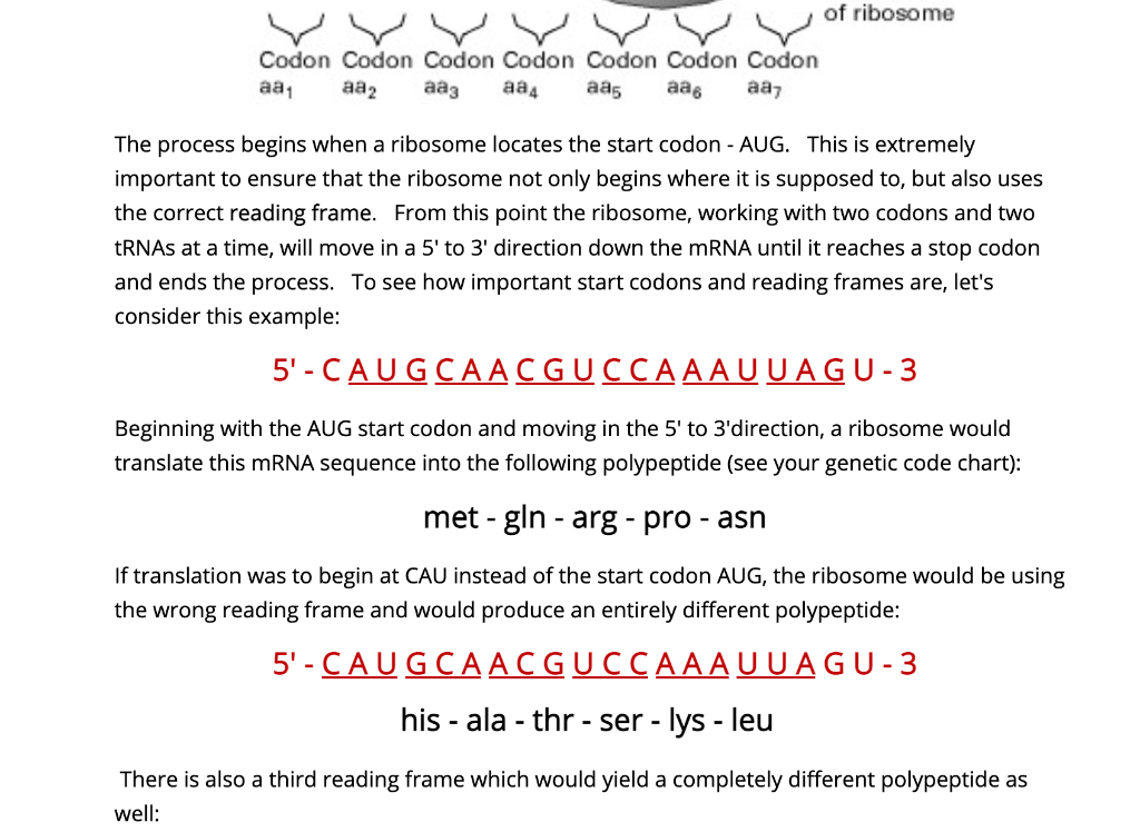 Solved > of ribosome cho cardo }