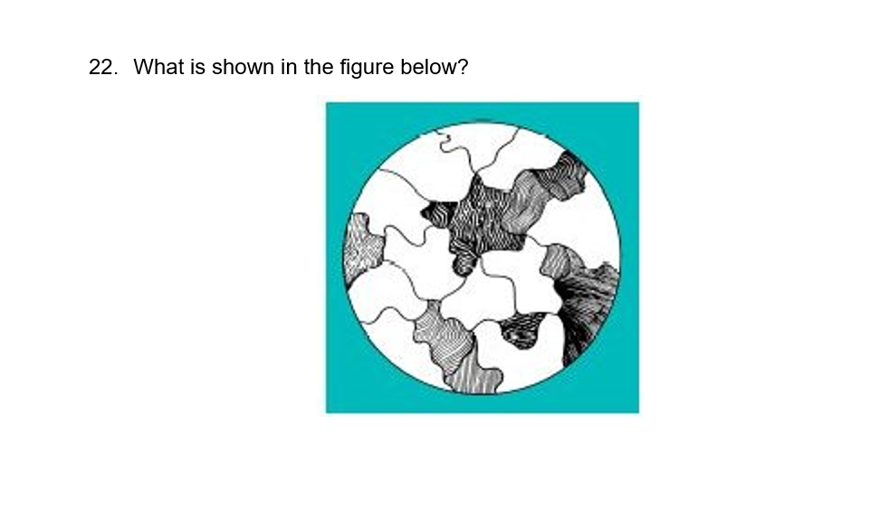 Solved 22. What is shown in the figure below? | Chegg.com